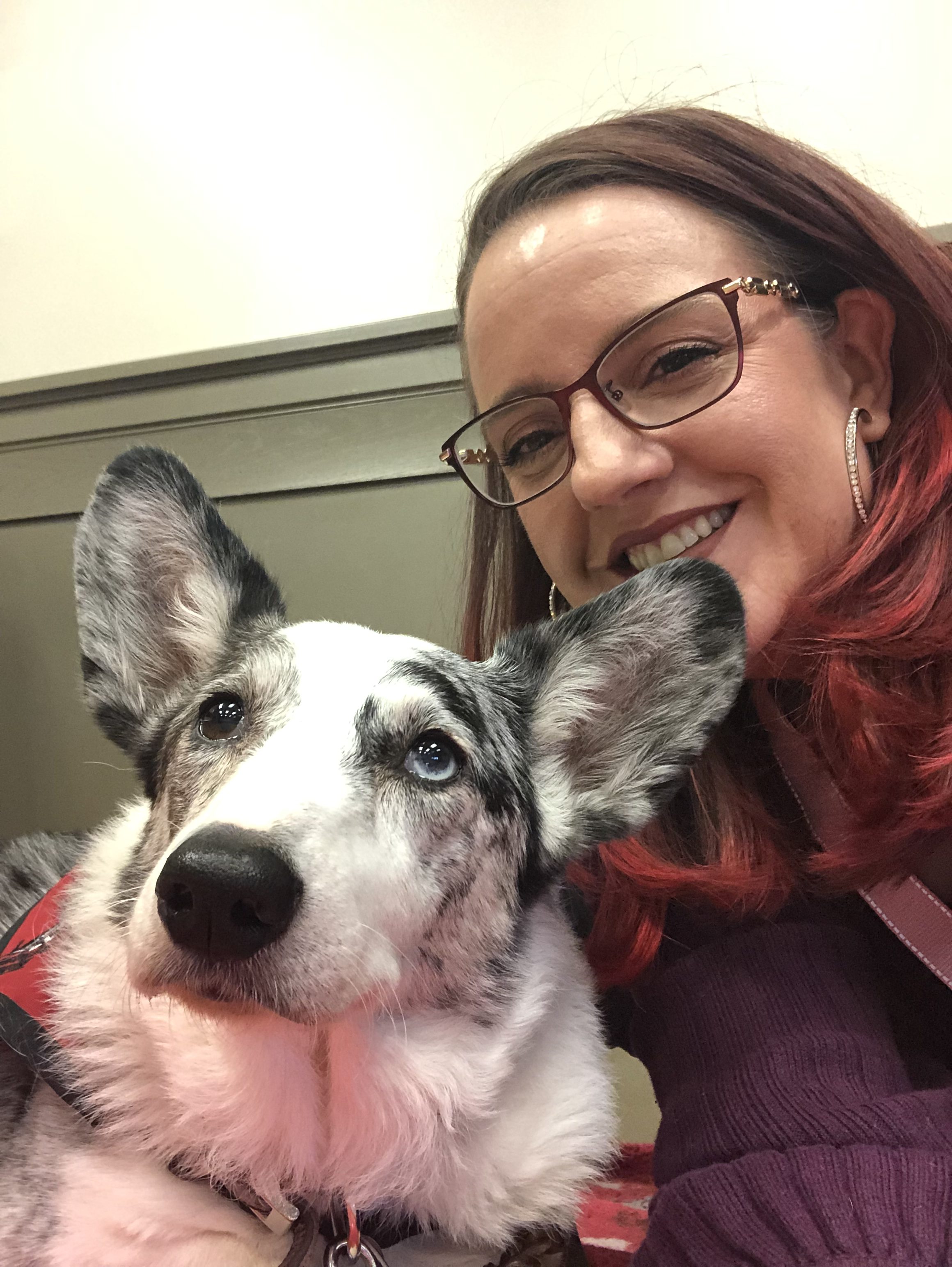 Legacy Dog Myrtle | Rosie