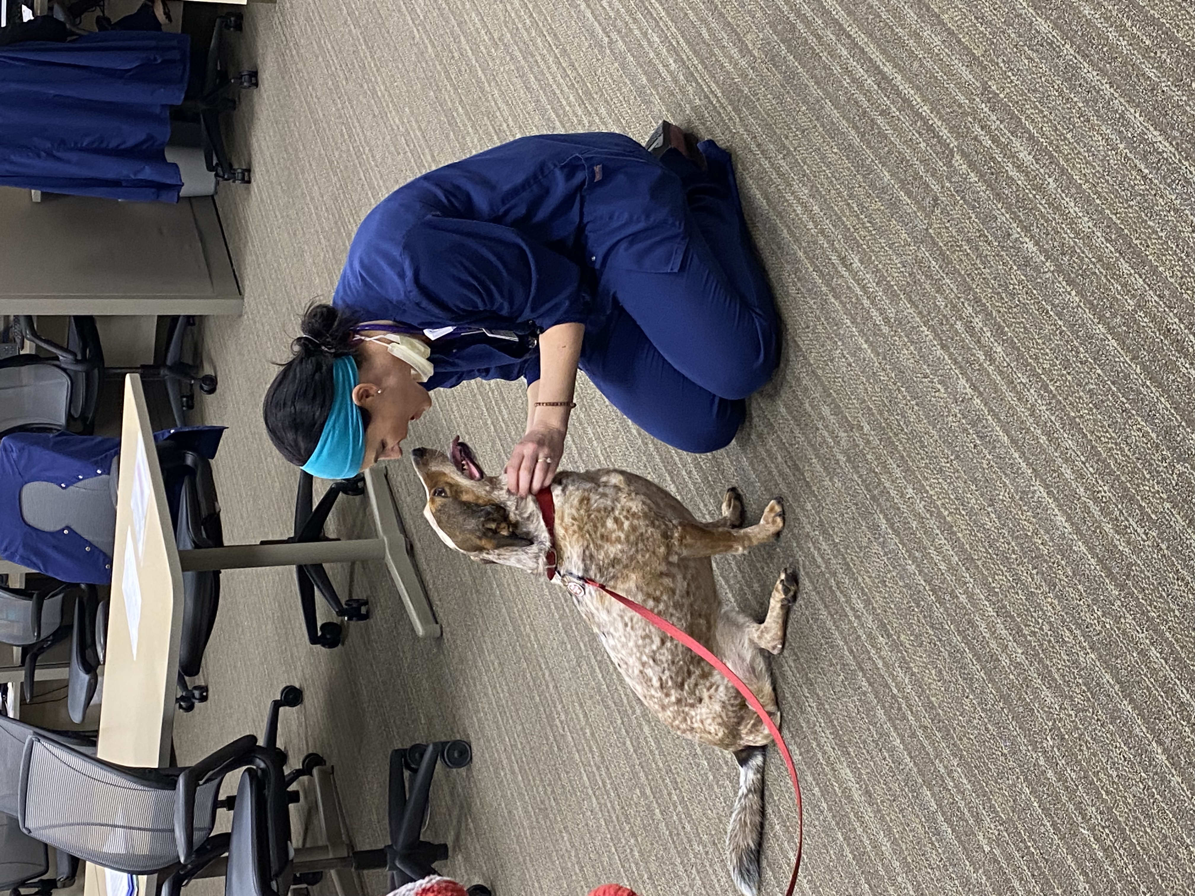 Maple Grove Hospital | Rosie