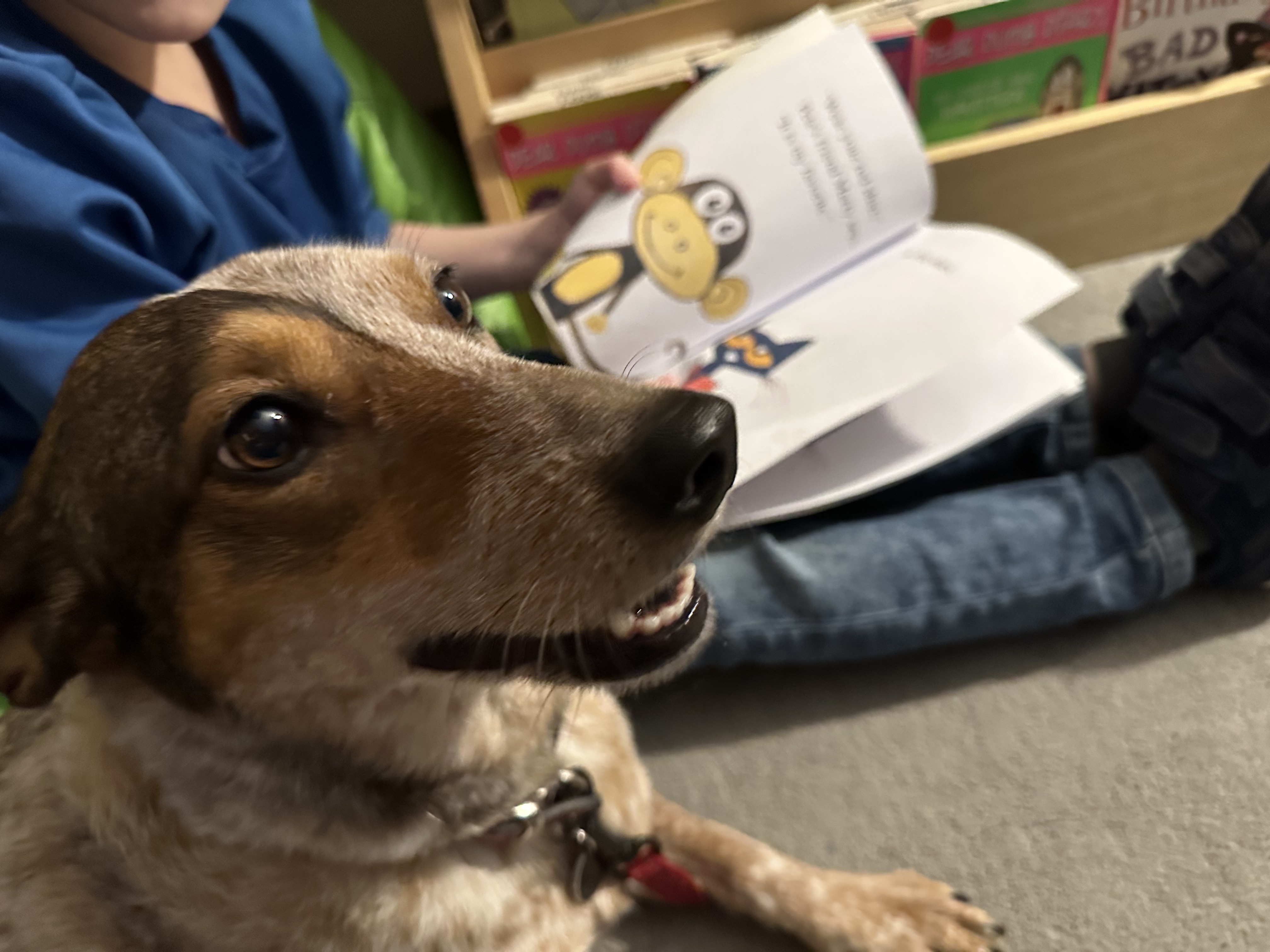 Rum River Elementary 4/4/23 | Rosie