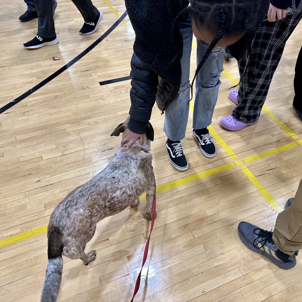 Spring Lake Park High School | Rosie