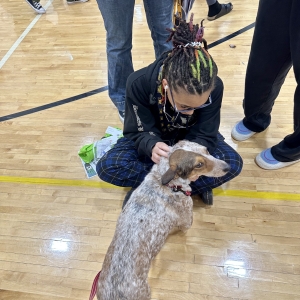 Spring Lake Park High School | Rosie