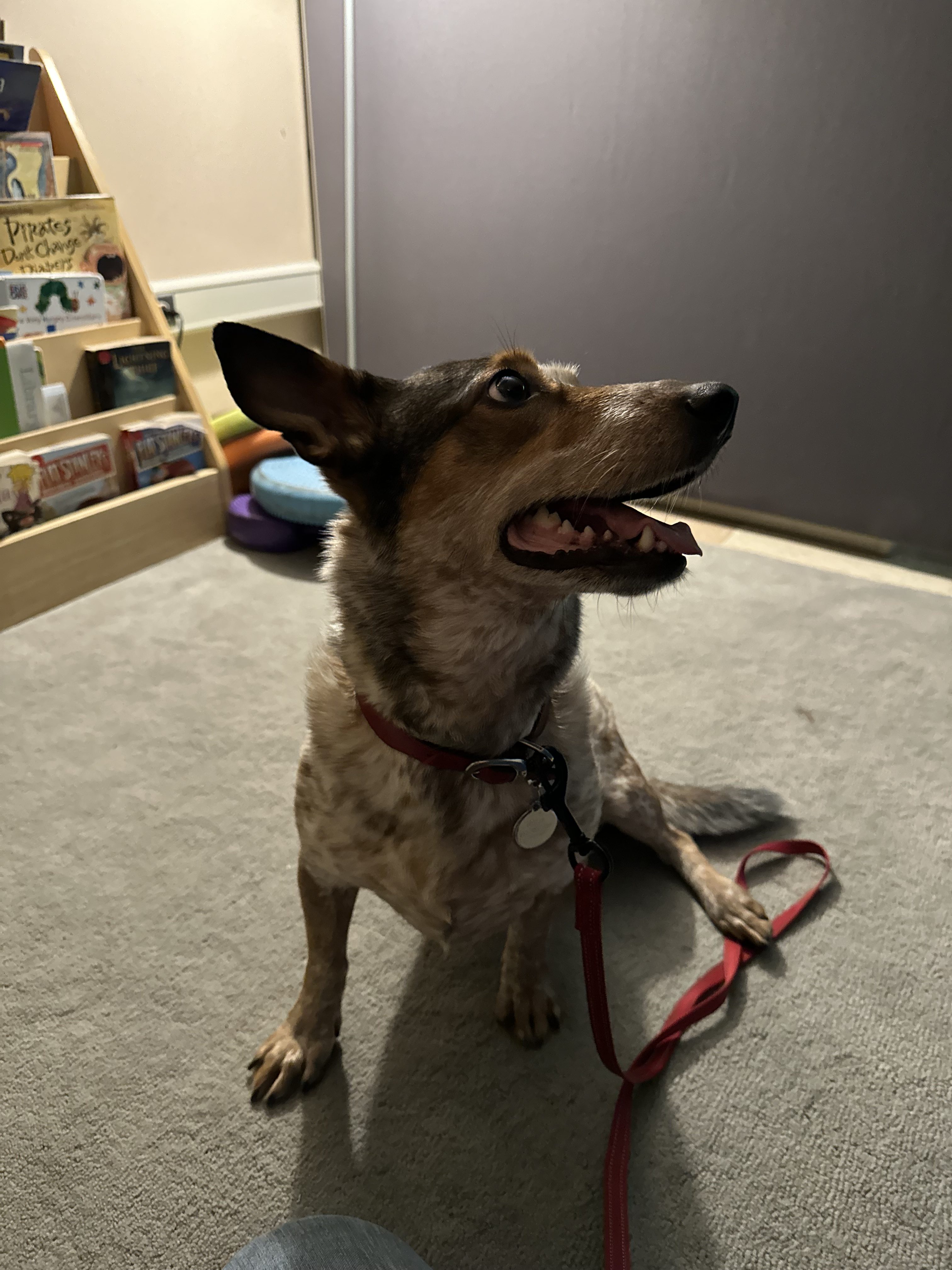 Rum River Elementary 4/4/23 | Rosie