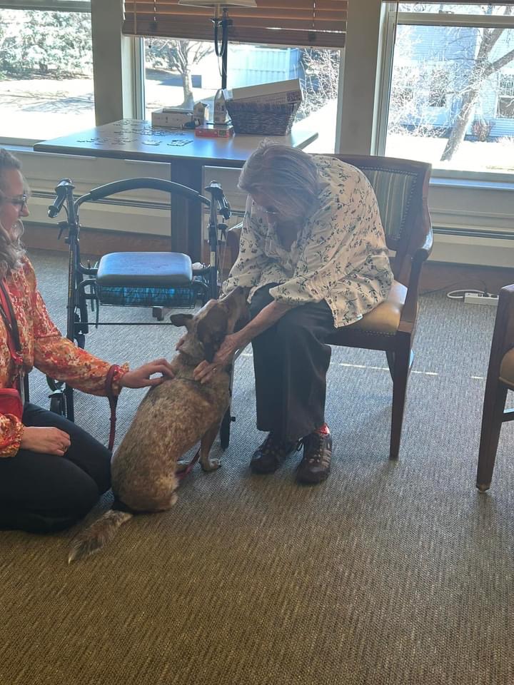 The Farmstead | Rosie